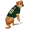 Pets First Minnesota Wild Dog Jersey, Large | Petco