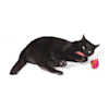 Hauspanther Collection By Primetime Stacks Zest Cat Toy, Medium | Petco