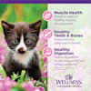 Wellness Complete Health Natural Grain Free Kitten Wet Cat Food, 3 oz ...