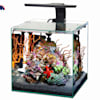 Aqueon Frameless Cube Aquarium, 3 Gallon | Petco