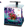 Aqueon Edgelit Cube Glass Aquarium, 6 Gallon | Petco