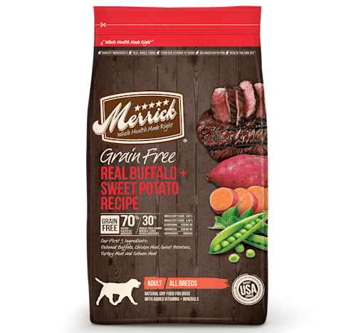 22 Best Dog Foods for Dobermans - Dog Food Care