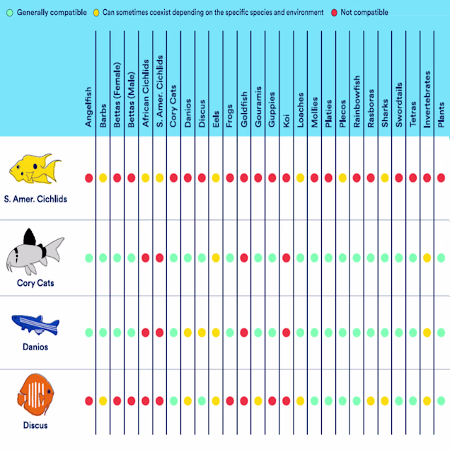 fish compatible with oscars