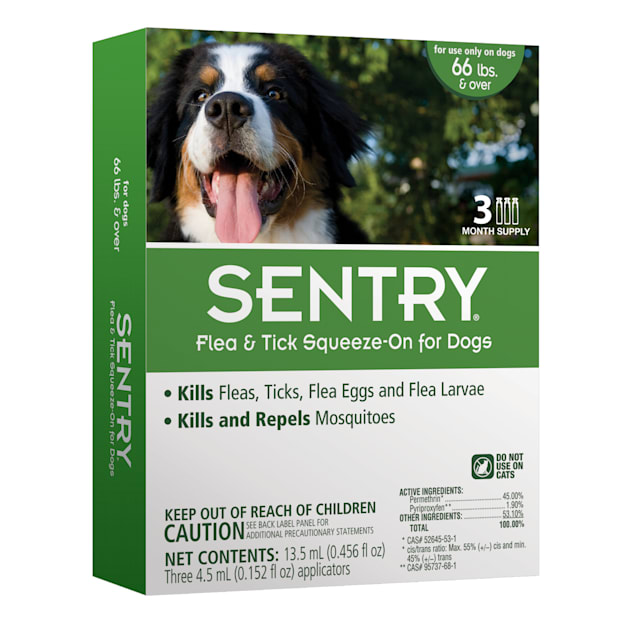 Sentry Pro Xft | atelier-yuwa.ciao.jp