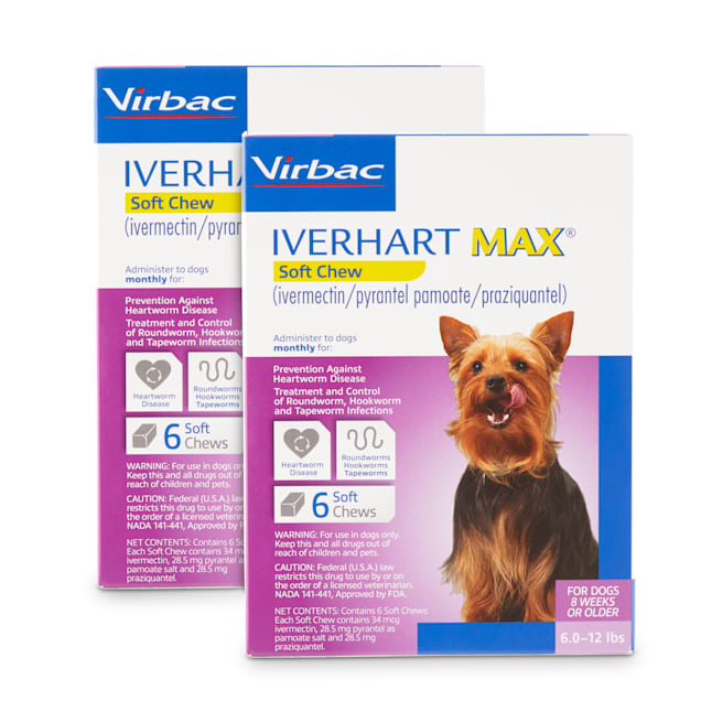 Iverhart Max Soft Chews for Dogs 6 to 12 lbs, 12 Month Supply | Petco