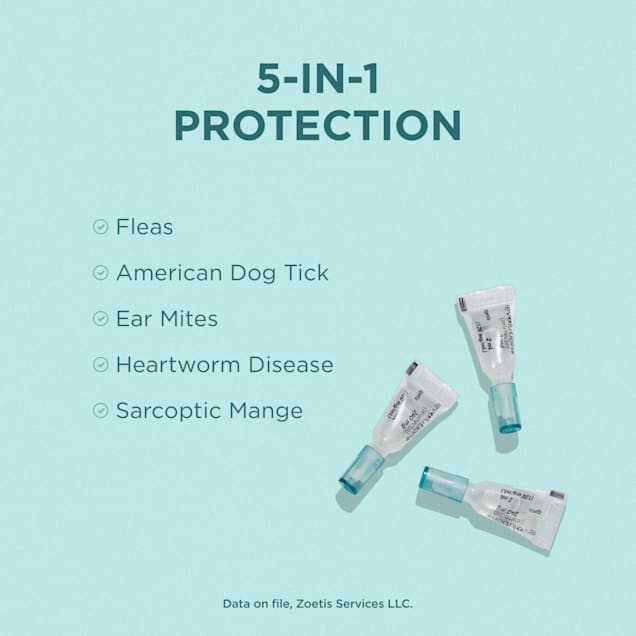 virginia veterinary license lookup