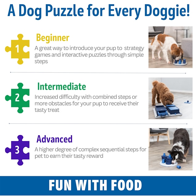 TRIXIE Flower Tower Dog Activity Strategy Game | Petco