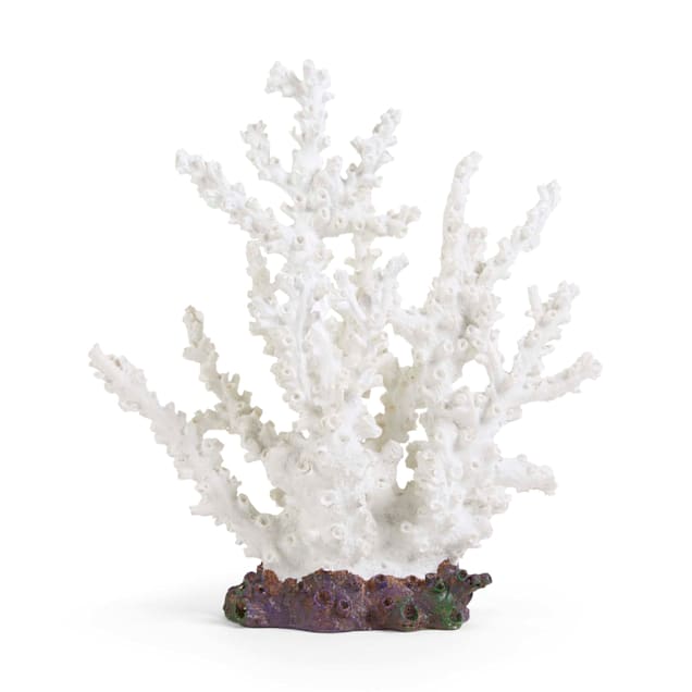 white aquarium
