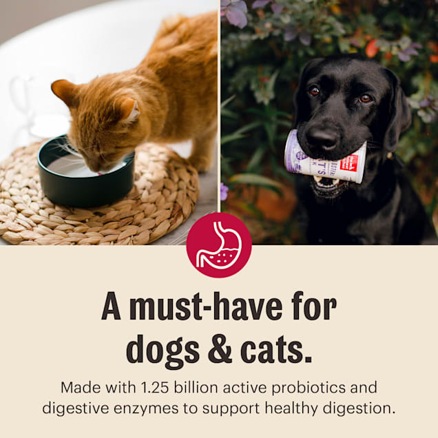 The Honest Kitchen Daily Boosts: Instant Goat's Milk with Probiotics ...