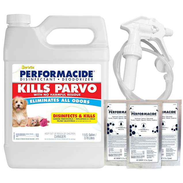 How To Disinfect Hardwood Floors Parvo | Floor Roma How To Disinfect Hardwood Floors Parvo | Floor Roma