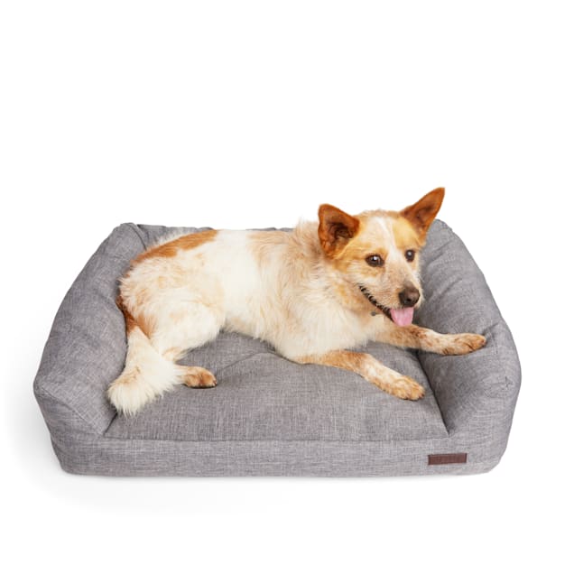 Reddy CBD Infused Lounger Dog Bed, 32" L X 24" W X 10.5" H | Petco