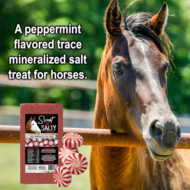 soft peppermints for horses