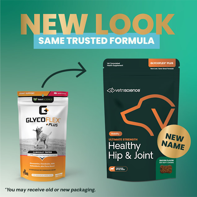 VetriScience GlycoFlex Plus Joint Support Bite-Sized Bacon Flavor Dog ...