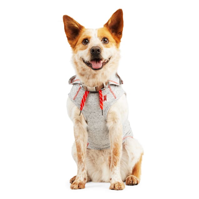 Reddy Grey Hooded Tank for Dogs, X-Small | Petco