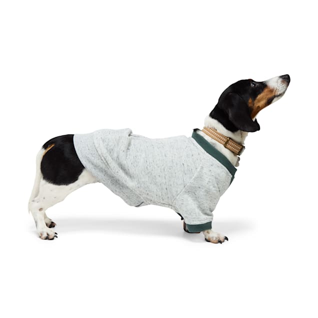 Reddy Pleated Sweater for Dogs X Small Grey Petco