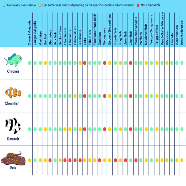 clownfish breeding chart