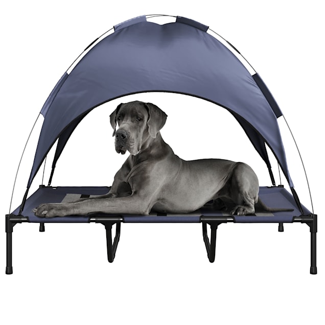 dog canopy bed