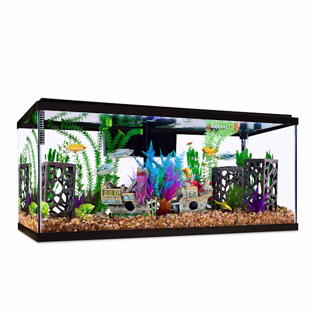 empty aquarium weight