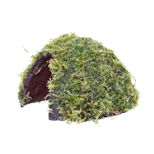 java moss ball