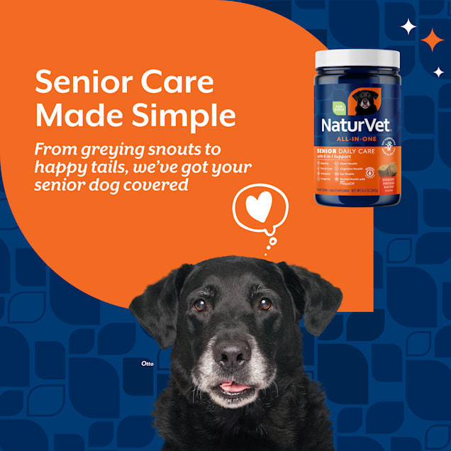 senior dogs supplements