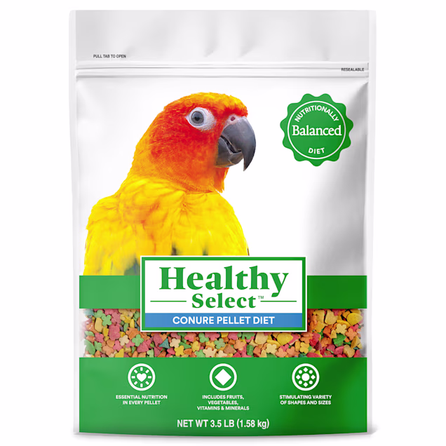 conure bites everything