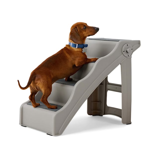 EveryYay Folding Plastic Pet Steps, 19.5" H | Petco