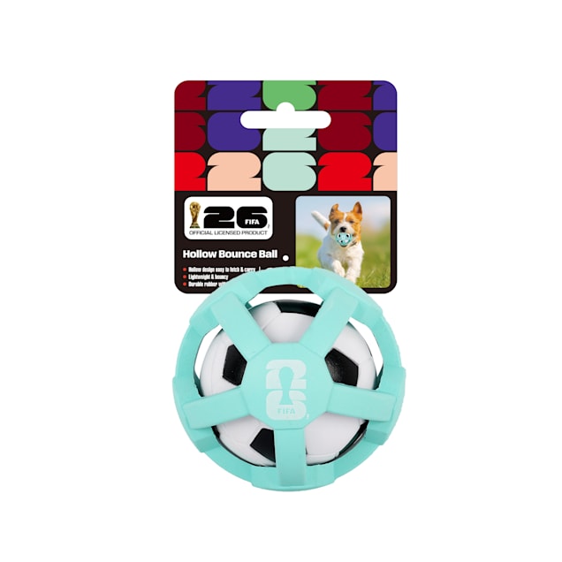 FIFA World Cup 2026 Blue Hollow Bounce Ball for Dogs, Small | Petco