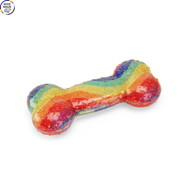 YOULY Rainbow TPR Bone Dog Toy, Small | Petco