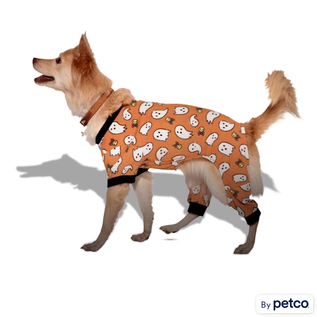 Dog toys, treats, cooling mats, beds and more to help your pup live a ...
