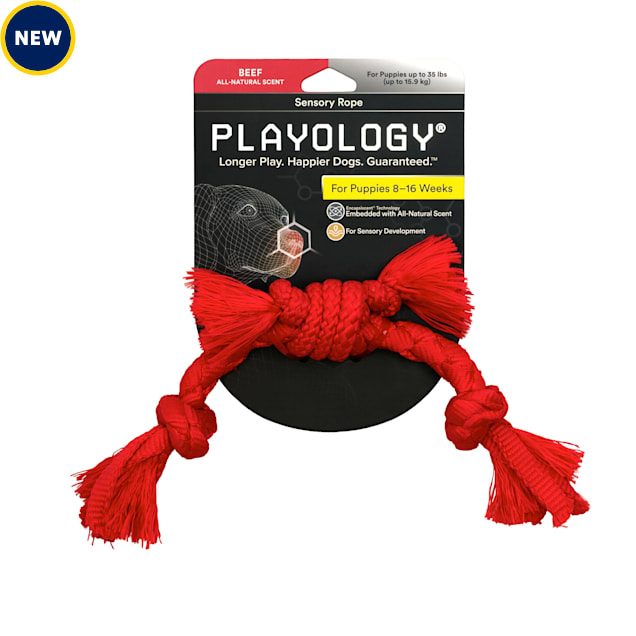 Playology Puppy Sensory Rope Beef Dog Toy, Large | Petco