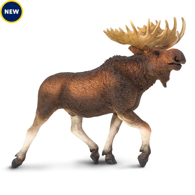 Safari Ltd Moose Toy Figure | Petco