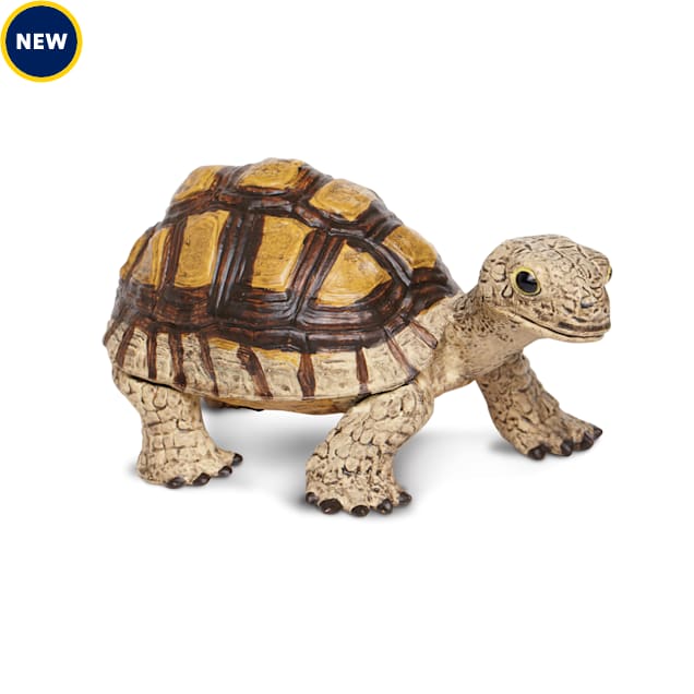 Safari Ltd Tortoise Toy Figure | Petco