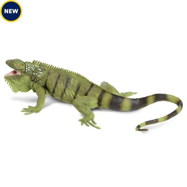 Safari Ltd Iguana Toy Figure | Petco