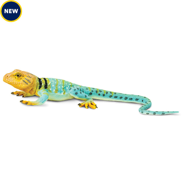 Safari Ltd Collared Lizard Toy Figure | Petco