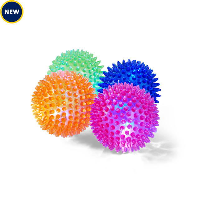 Leaps & Bounds Spiny Ball Assorted Chew Toy for Dogs, Small | Petco