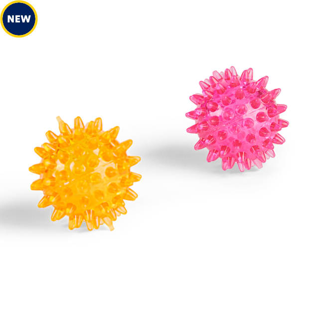 Leaps & Bounds Spiny Ball Assorted Dog Chew Toy, Small | Petco