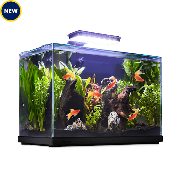 Imagitarium Glass Versa Aquarium, 9.5 Gallons | Petco