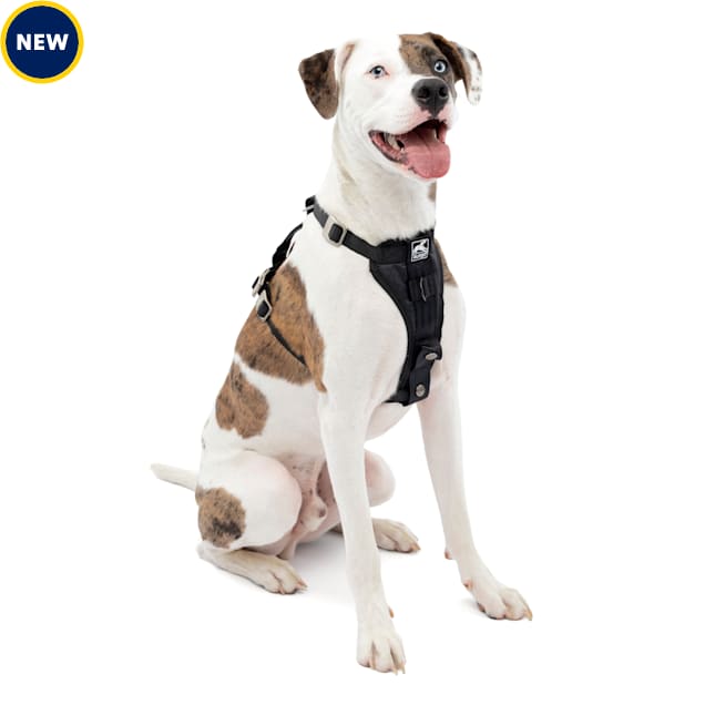 Kurgo Black Tru-Fit Smart Enhanced Strength Dog Harness, Medium | Petco
