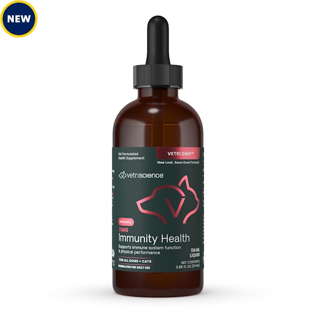 VetriScience Vetri-DMG Liquid Immune Supplement for Dogs, Cats & Birds ...