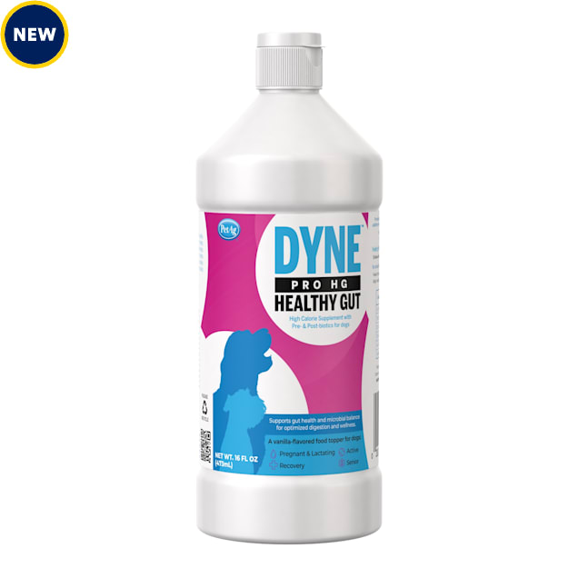 PetAg Dyne Pro Healthy Gut for Dogs, 16 fl. oz. | Petco