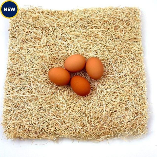 Backyard Barnyard Excelsior Nesting Pads, Pack of 40 | Petco