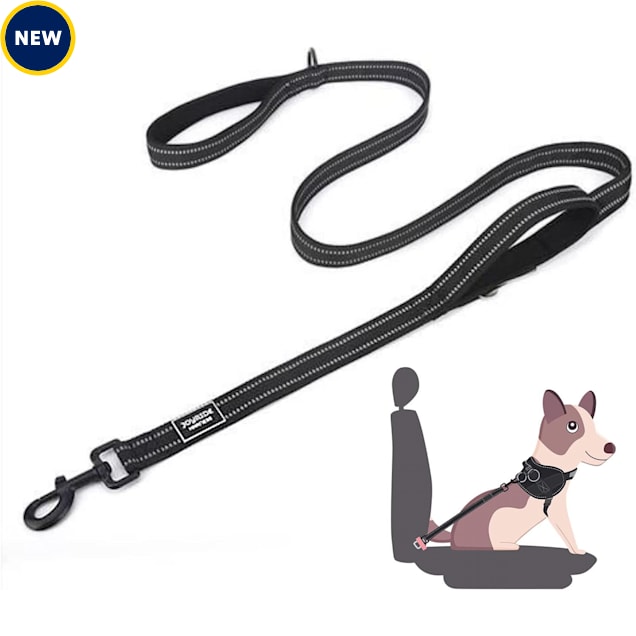 Joyride Harness 2-in-1 Leash with Seat Belt Combo, Black | Petco