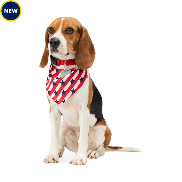 YOULY USA Dog Bandana, X-Small/Small, Red | Petco