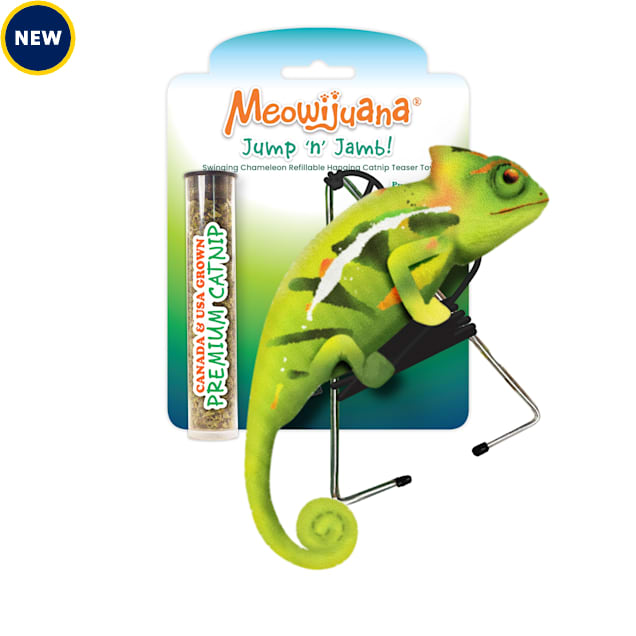 Meowijuana Jump 'n' Jamb, Chameleon, Refillable Catnip Swinging Cat Toy ...
