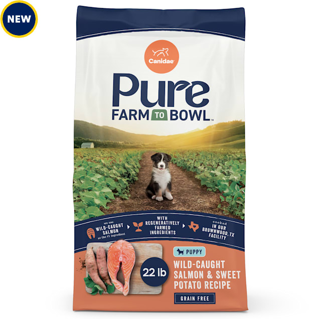 Canidae Pure Salmon & Sweet Potato Grain Free Dry Puppy Food, 22 lbs ...