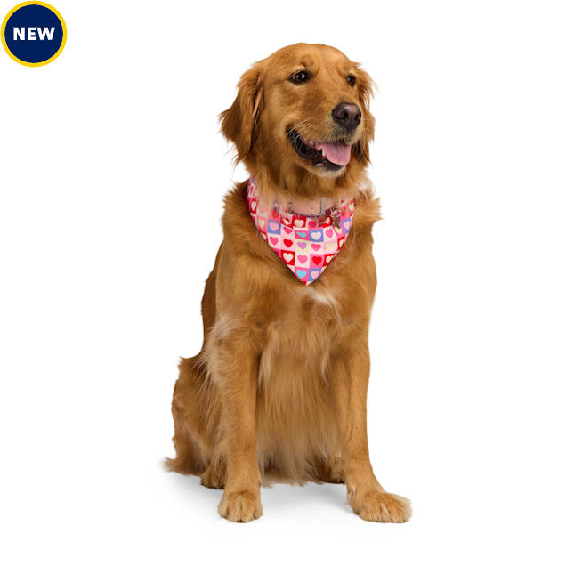 Petco dog bandana store