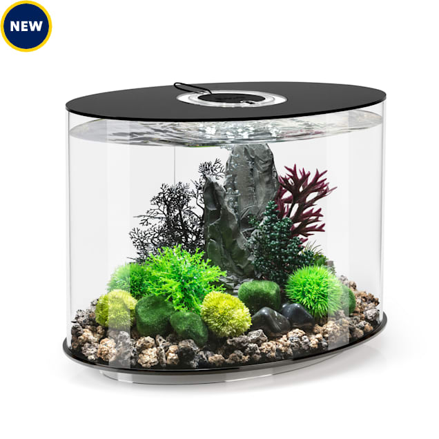 biOrb Black LOOP 30 8-Gallon Aquarium with LED & Filter