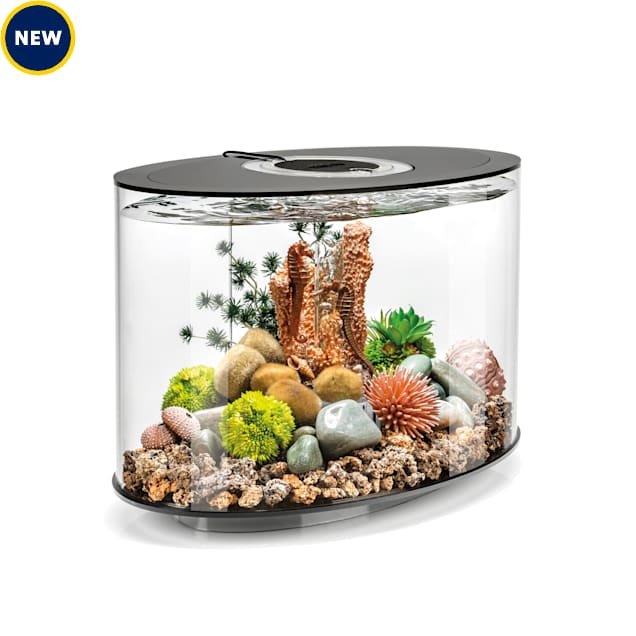 biOrb Black LOOP 15 4-Gallon Aquarium with LED & Filter