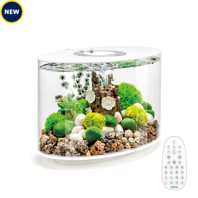 biOrb LOOP 15 White 4-Gallon Aquarium with MCR Light