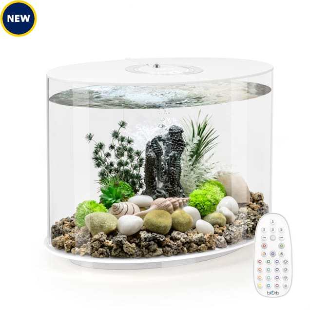 biOrb LOOP 30 White 8-Gallon Aquarium with MCR Light